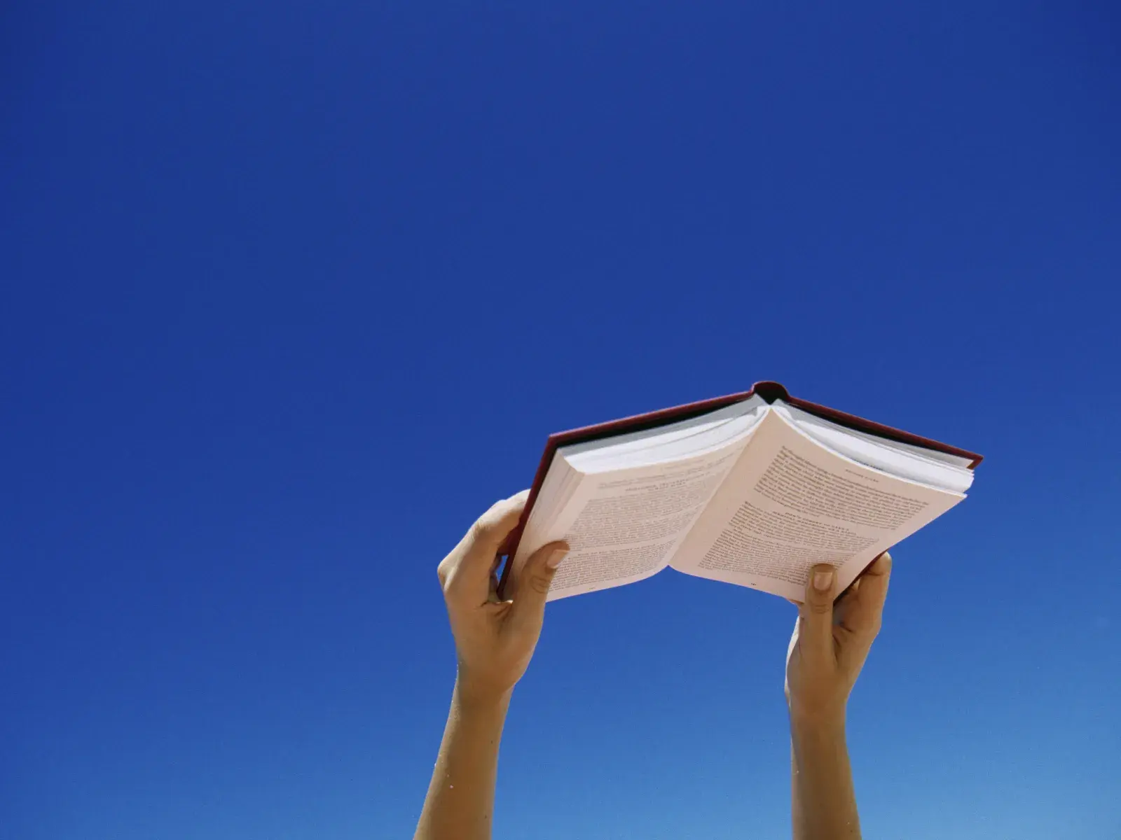 Los 5 Mejores Libros Que Leí En 2023 Y Que Pueden Acompañarte En Las